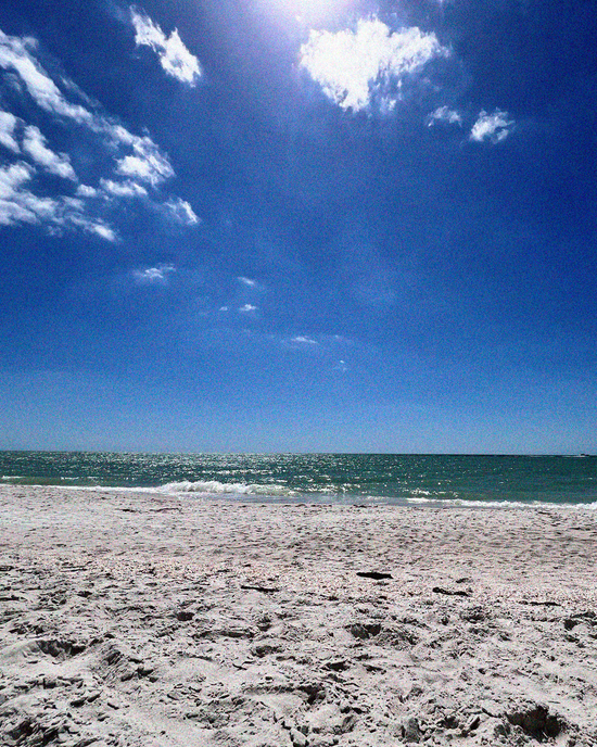 Swimwear designed to be mixed or matched // handmade in Miami – FJ SWIM ...